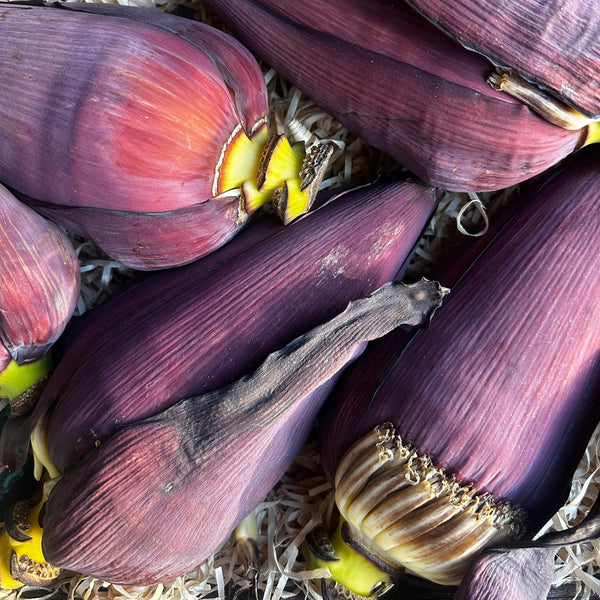 News - Tropical Fruit World