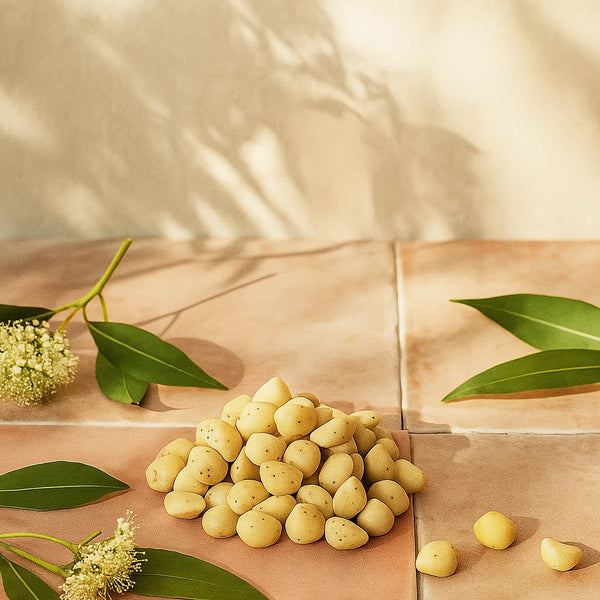 Lemon Myrtle Herb Salted Macadamia Nuts - Tropical Fruit World