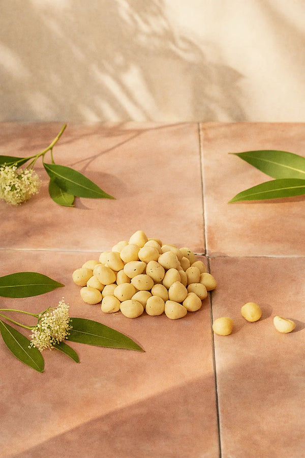 Lemon Myrtle Herb Salted Macadamia Nuts - Tropical Fruit World